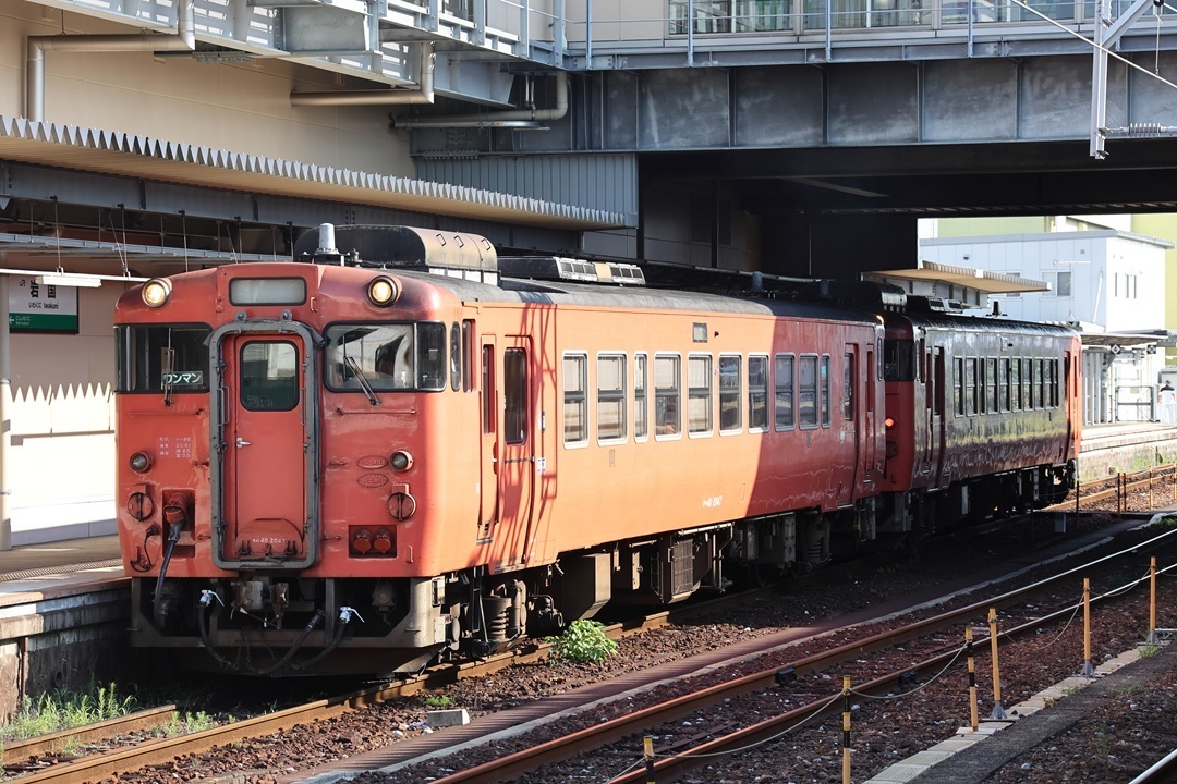 新・金失いの道ゆけば 81号